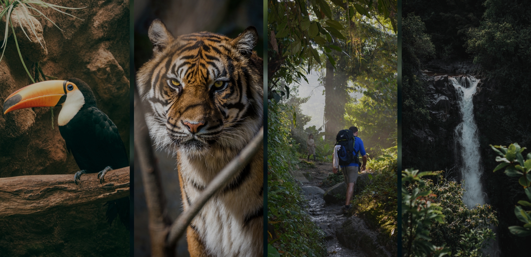 Adventure – Delta Ecohuts